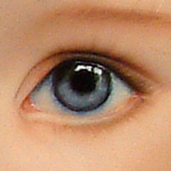 Newsletter V1, I1 2009